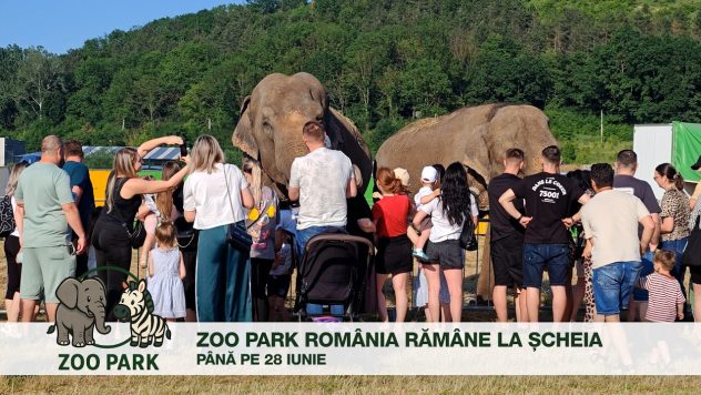 ZOO Park România rămâne la Șcheia până pe 28 iunie